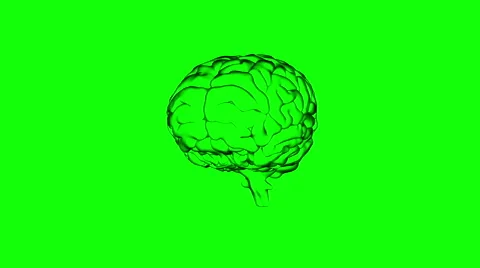 Brain spinning on green screen backgroun... | Stock Video | Pond5