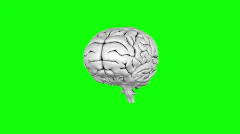 Brain spinning on green screen backgroun... | Stock Video | Pond5