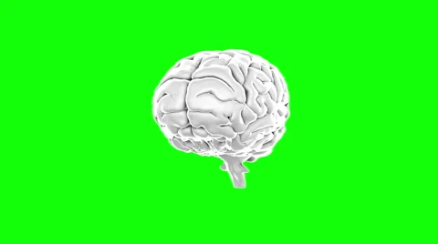 Brain spinning on green screen backgroun... | Stock Video | Pond5