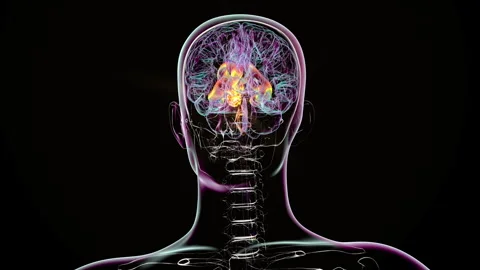 Pathophysiology Stock Videos – Royalty-Free HD & 4K Videos | Pond5