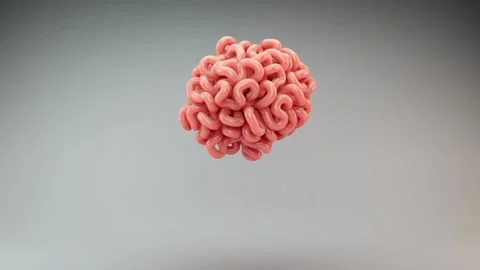 Brains Animation Stock Footage ~ Royalty Free Stock Videos | Pond5