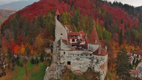 Bran Stock Footage ~ Royalty Free Stock Videos | Pond5