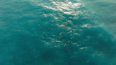 Brave and fearless surfer athletes waiti... | Stock Video | Pond5