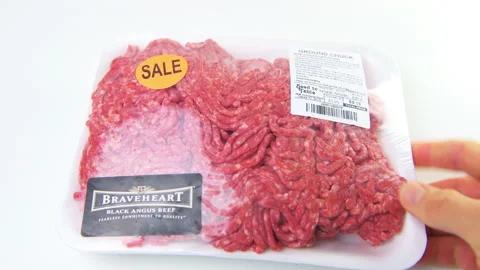 Braveheart Stock Footage ~ Royalty Free Stock Videos | Pond5