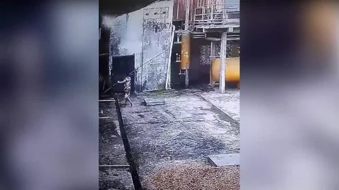 While Some Said Stock Videos – Royalty-Free HD & 4K Videos