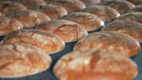 Bread bakery. Ready made bread comes out... | Stock Video | Pond5