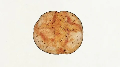 Bread Pencil Sketch Animation | Stock Video | Pond5