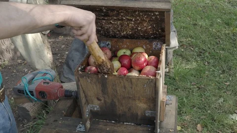 Box Breaking Stock Videos – Royalty-Free HD & 4K Videos