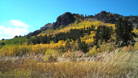 Breeze tall grass windy fall colors in C... | Stock Video | Pond5