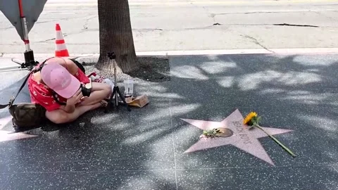 Image Founder Stock Videos – Royalty-Free HD & 4K Videos