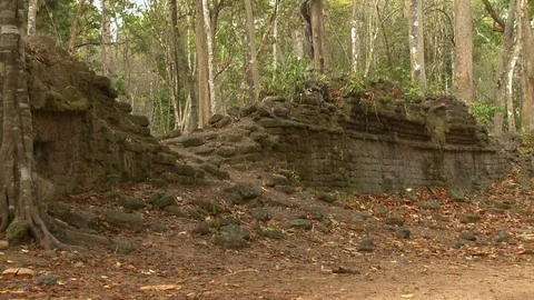 Preis Stock Video Footage | Royalty Free Preis Videos | Pond5