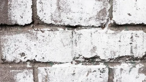 Bricks wall texture seamless loop. Urban... | Stock Video | Pond5