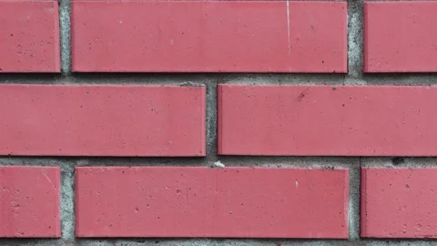 Bricks wall texture seamless loop. Urban... | Stock Video | Pond5