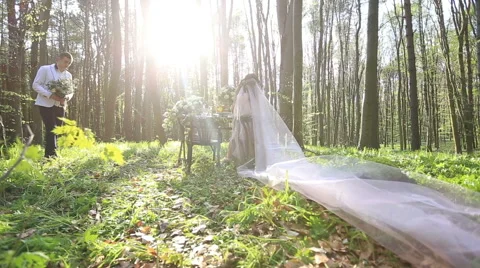 Vintage Wedding Veils Stock Videos – Royalty-Free HD & 4K Videos | Pond5