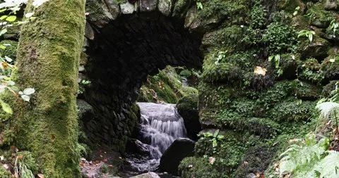 Stream 4U Stock Videos – Royalty-Free HD & 4K Videos | Pond5