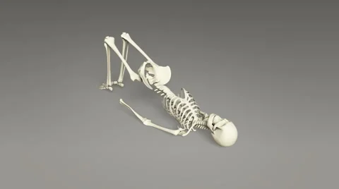 Bridge Pose Of Human Skeletal | Stock Video | Pond5