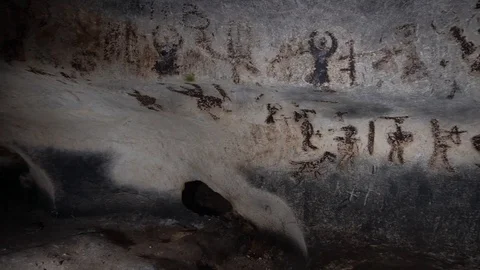 Prehistoric Loking B Stock Videos – Royalty-Free HD & 4K Videos