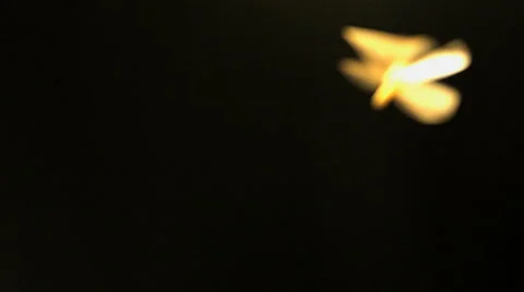 Bright bioluminescence of Firefly swarm ... | Stock Video | Pond5