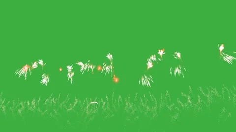 Green Screen Fireworks Stock Video Footage | Royalty Free Green Screen ...