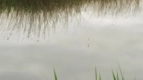 Calm Water Fishing Stock Videos – Royalty-Free HD & 4K Videos | Pond5