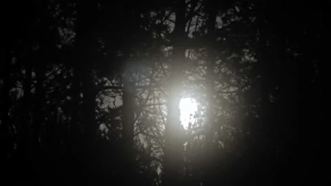 Bright Full Moon Rising Up Into The Nigh... | Stock Video | Pond5