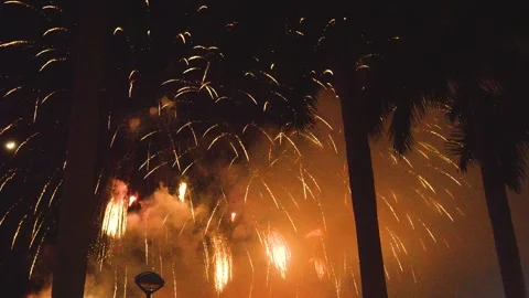 Trees Exploding Stock Videos – Royalty-Free HD & 4K Videos | Pond5