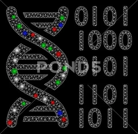 Bright Mesh 2D DNA Binary Code with Flash Spots Illustration #117599044