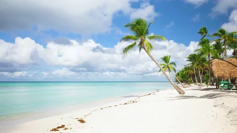 Bright palm trees on white sand of tropi... | Stock Video | Pond5