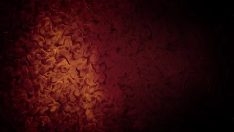 bright red abstract organic shapes forms... | Stock Video | Pond5