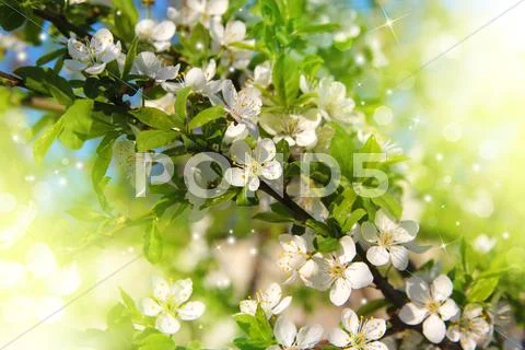 Bright summer background: Graphic #38613365