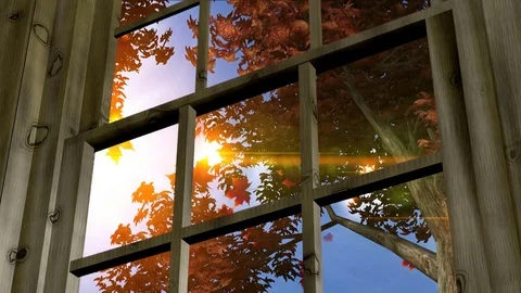 Autumn Window Stock Videos – Royalty-Free HD & 4K Videos | Pond5