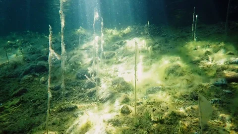 Underwater Lake Bottom Stock Video Footage | Royalty Free Underwater ...