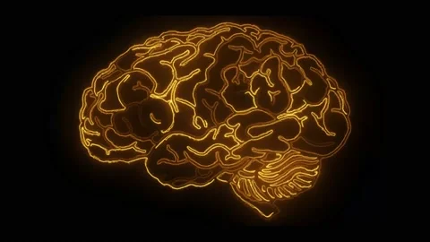Bright Yellow Brain Animation on dark Ba... | Stock Video | Pond5
