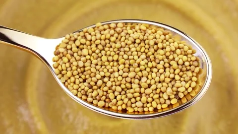 Mustard Yellow Background Stock Videos – Royalty-Free HD & 4K Videos ...