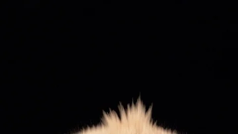 Dust Explosion Stock Footage ~ Royalty Free Stock Videos | Pond5