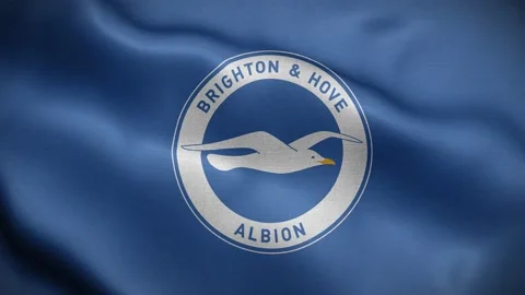 Brighton Hove Albion England Blue Logo F... | Stock Video | Pond5