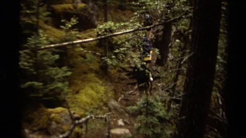 The The British Stock Videos – Royalty-Free HD & 4K Videos | Pond5