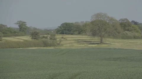 True The Show Stock Videos – Royalty-Free HD & 4K Videos | Pond5