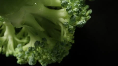 Broccoli bottom view extreme macro, zoom... | Stock Video | Pond5
