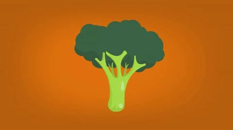 broccoli - Vector Graphics - Food Anima... | Stock Video | Pond5