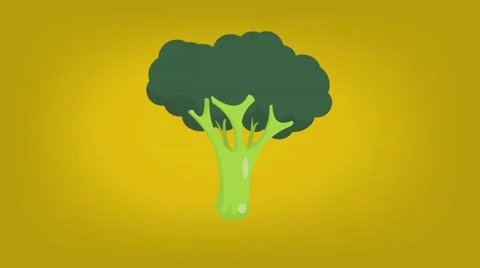 broccoli - Vector Graphics - Food Anima... | Stock Video | Pond5