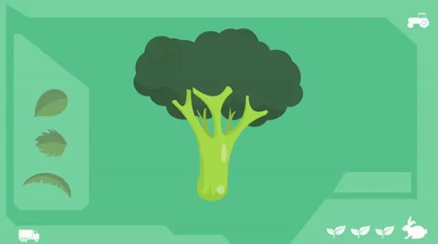 broccoli - Vector Graphics - Food Anima... | Stock Video | Pond5