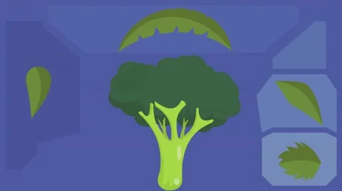 broccoli - Vector Graphics - Food Anima... | Stock Video | Pond5
