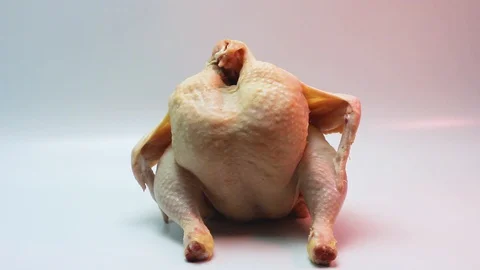 broiler chicken carcass falling raw meat... | Stock Video | Pond5