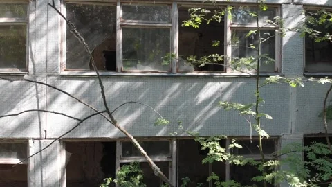 School Windows Stock Videos – Royalty-Free HD & 4K Videos