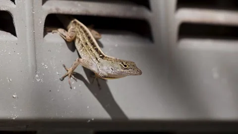 Ac Vents Stock Footage ~ Royalty Free Stock Videos | Pond5