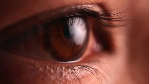 Eye Motion Stock Video Footage | Royalty Free Eye Motion Videos | Pond5