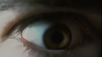 Brown Eye Iris Close Up, Scared And Terr... | Stock Video | Pond5