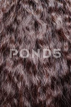 Brown hair close up. Textures and background Stock Photo #105350830