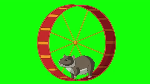 Hamster Wheel Animation